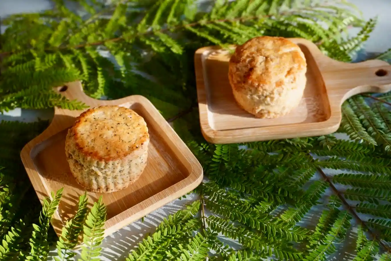 TU CASA – Plant Based&Zero Waste｜Leaf Dine